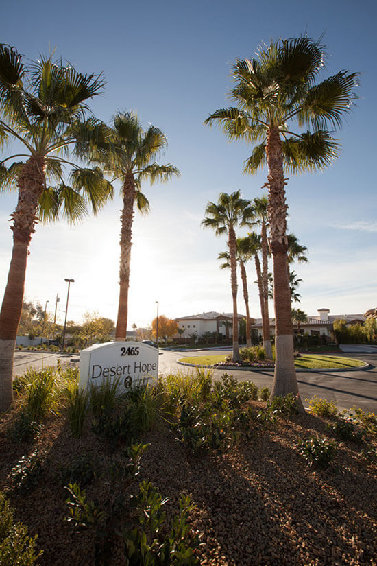 Desert Hope Director of Nursing Interviewed on Growing Methamphetamine ...