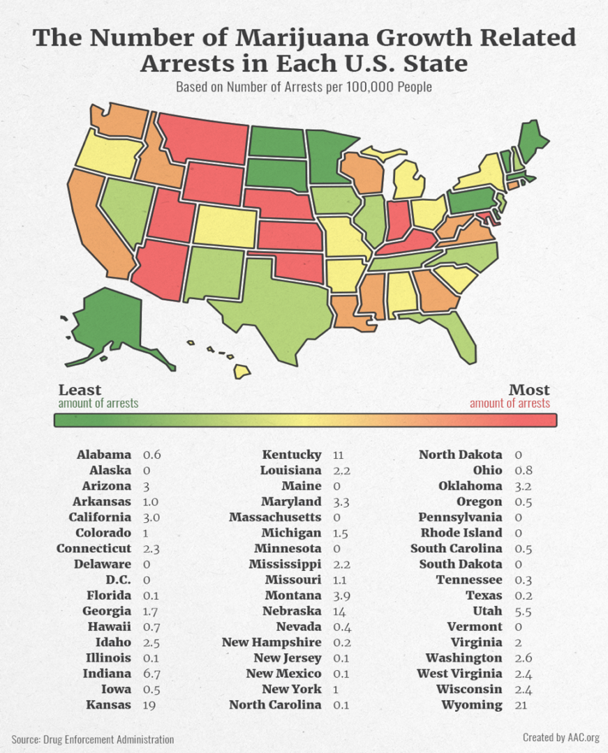 Marijuana Busts Across The U.S. | American Addiction Centers